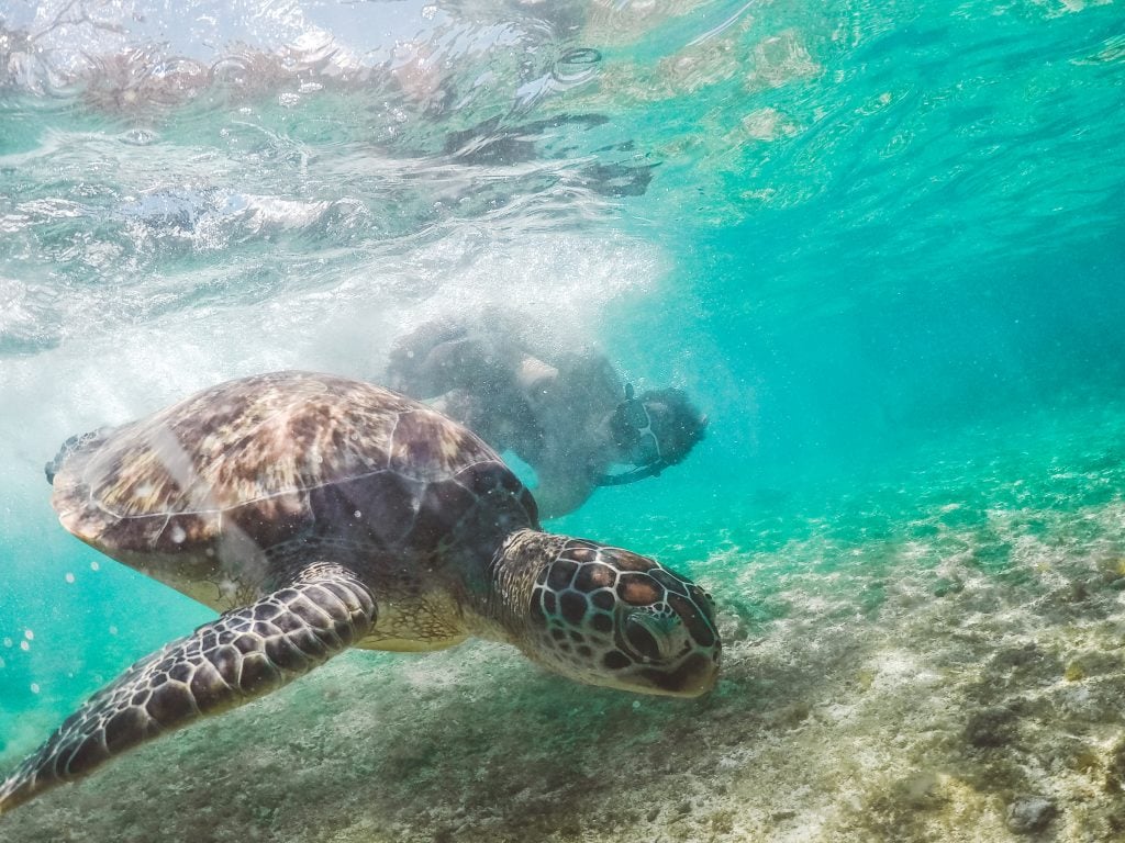 23 Dumaguete Tourist Spots And Things to do in Dumaguete