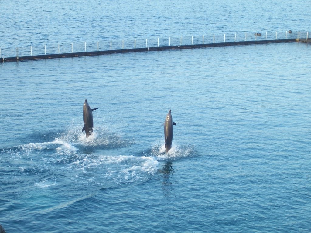 Subic Itinerary: 18 Subic Tourist Spots