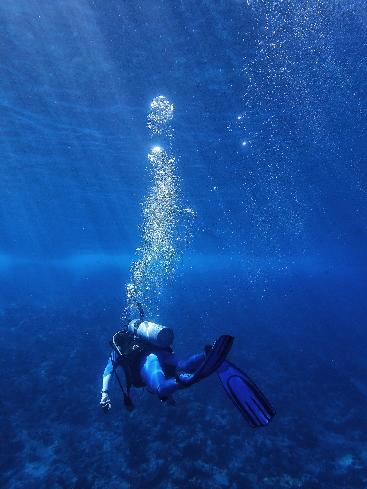 12 Best Places For Diving in the Philippines