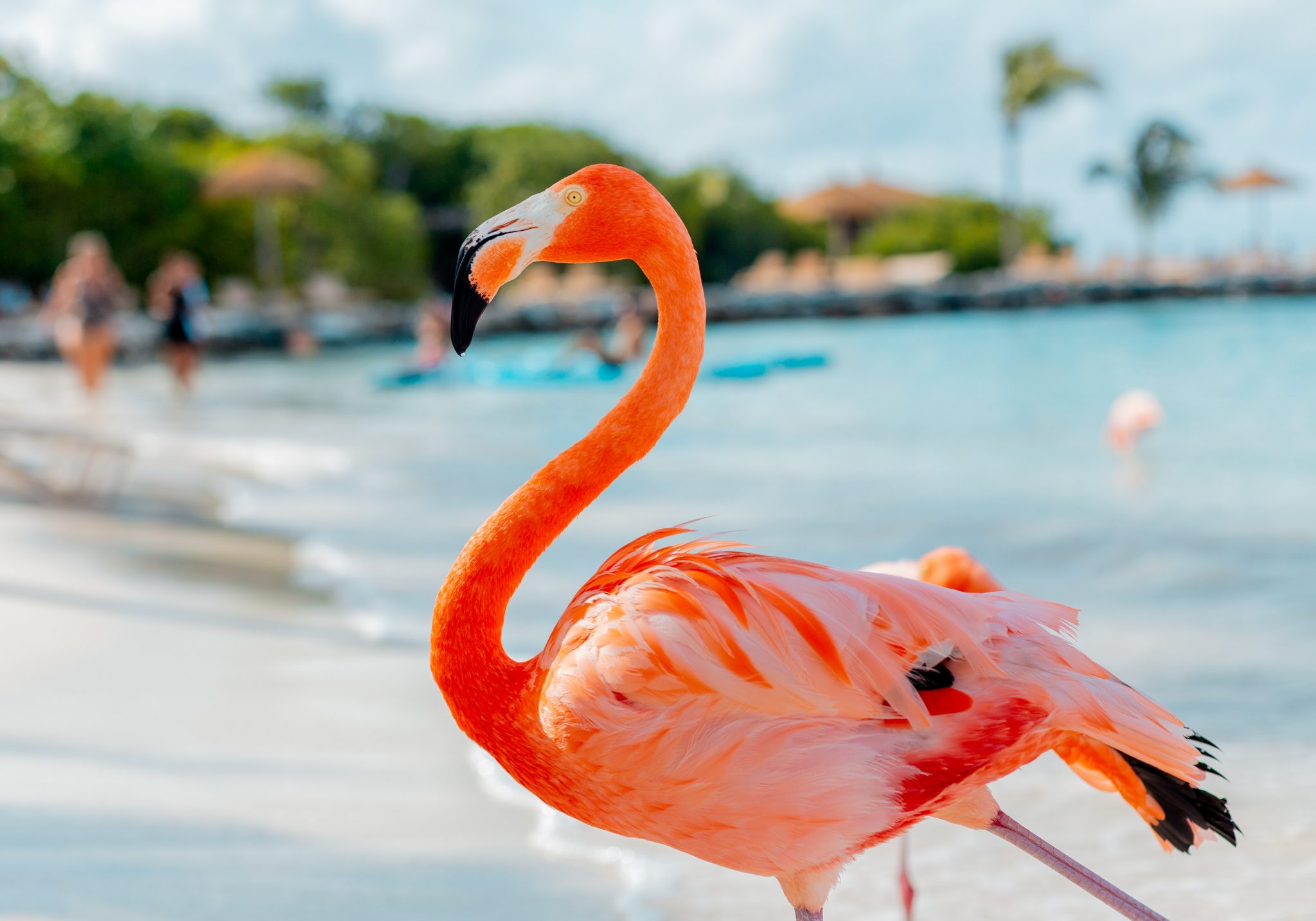 What To Wear In Aruba - Our Aruba Packing List