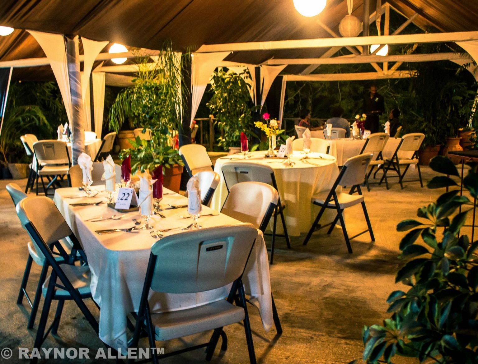 Kingston Jamaica Food - 30 Best Restaurants In Kingston