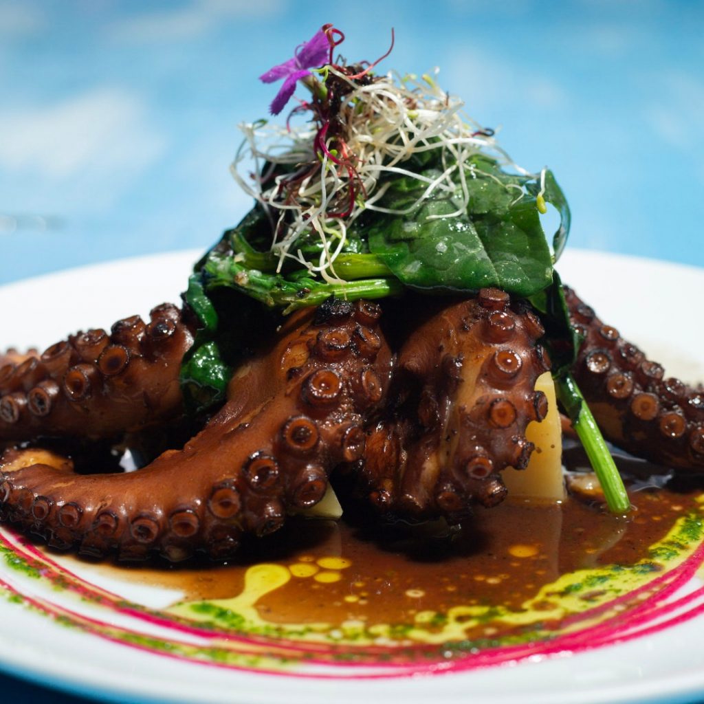 Puerto Morelos Food - 25 Best Restaurants In Puerto Morelos