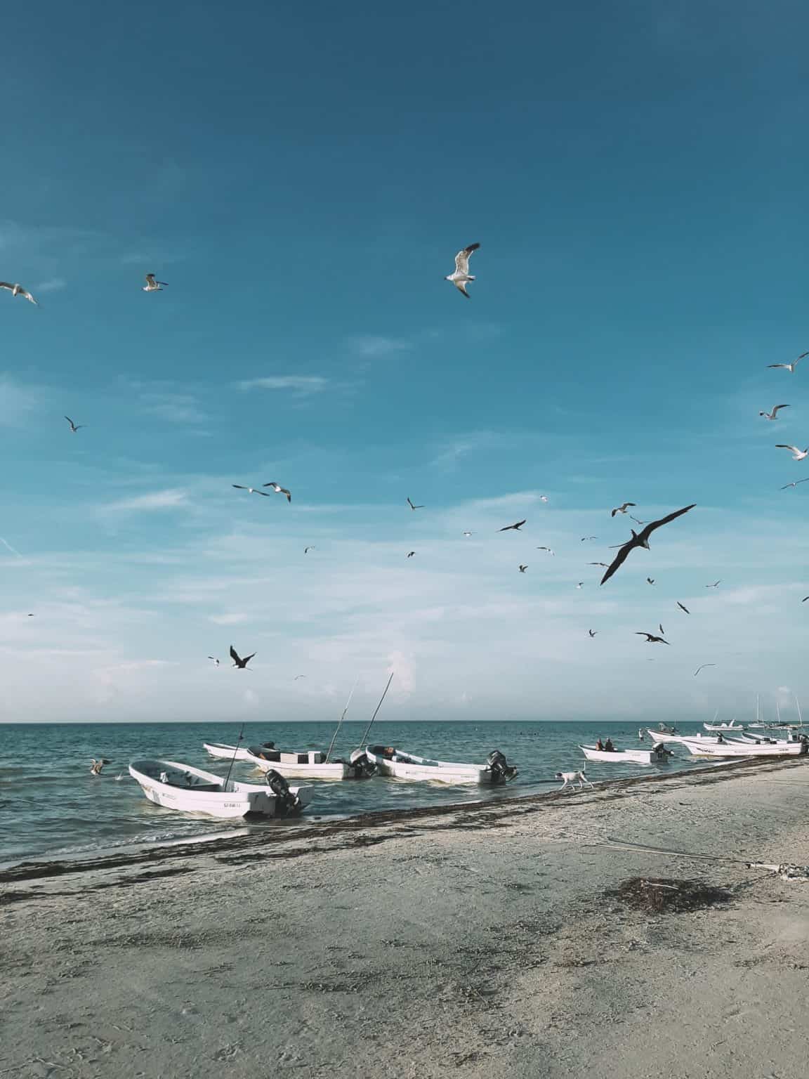 Comparison Holbox vs Tulum - Is Holbox Really the Better?