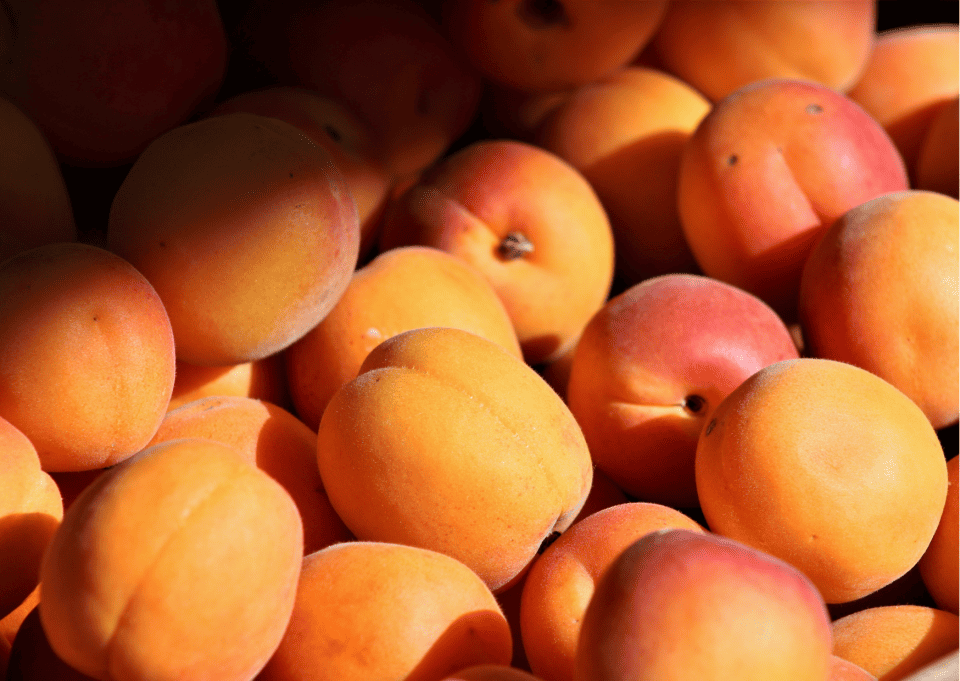 Korean Fruits - Traditional and Seasonal Fruits in Korea