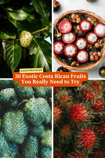 Fruits in Costa Rica - 30 Exotic Costa Rican Fruits To Try