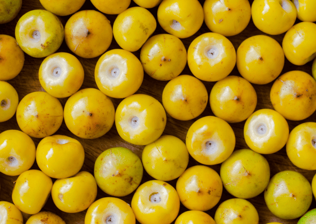 Nicaragua Fruits - 25 Most Exotic Fruits to Not Miss i