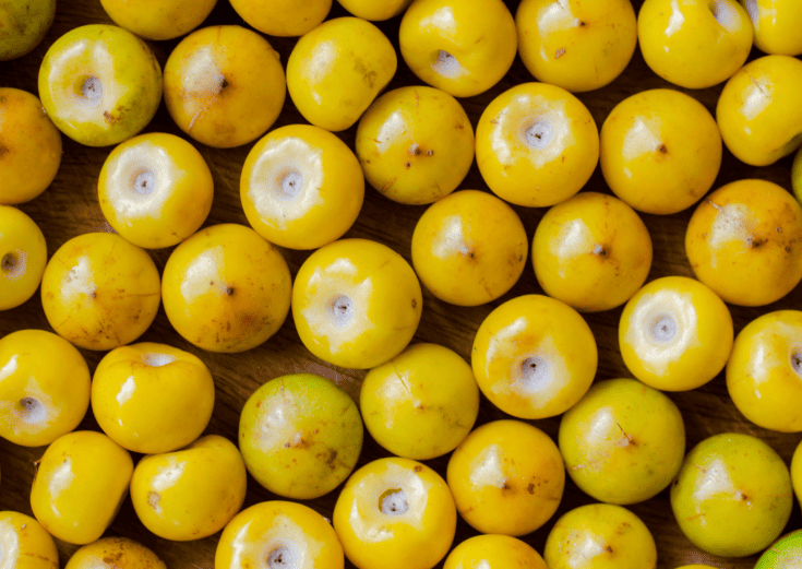 Exotic El Salvador Fruits - 30 Fruits in El Salvador