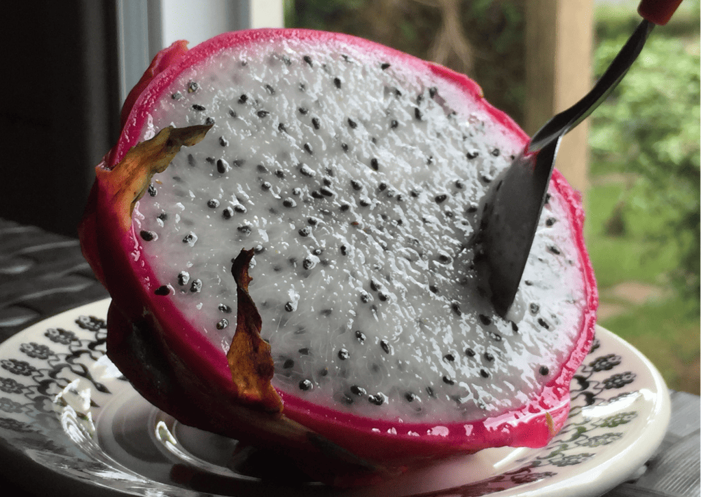 Fruits in Costa Rica - 30 Exotic Costa Rican Fruits To Try