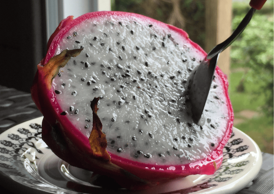 Fruits in Costa Rica - 30 Exotic Costa Rican Fruits To Try