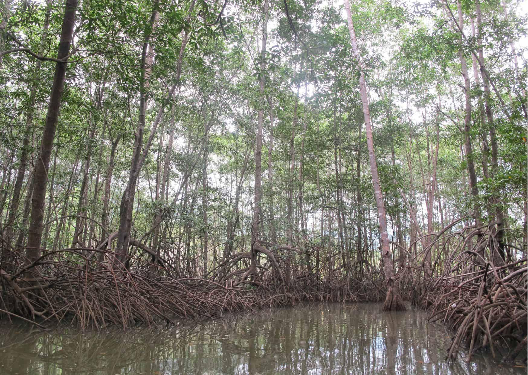 How To Get From Drake Bay To Sierpe By Boat Schedule