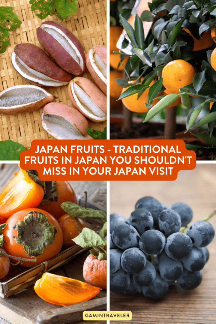 Japan Fruits - Traditional Fruits in Japan to Try