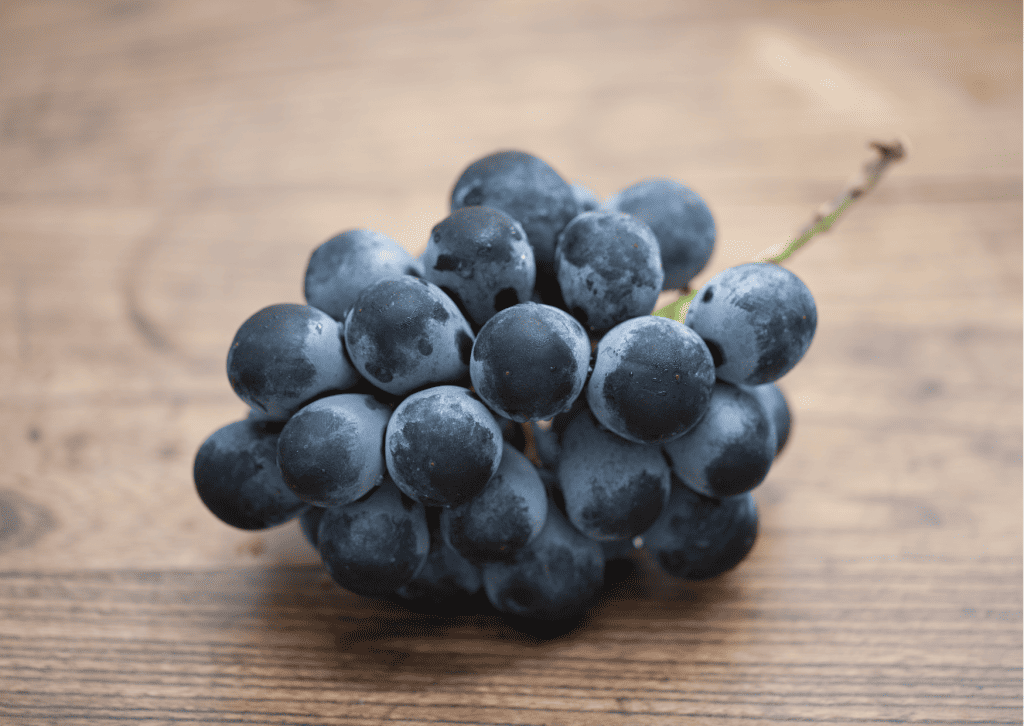 Japan Fruits - Traditional Fruits in Japan to Try