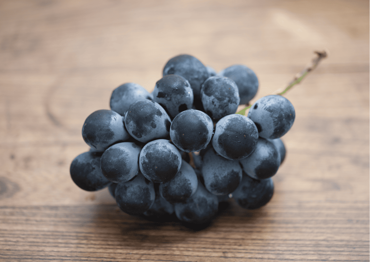 Japan Fruits - Traditional Fruits in Japan to Try