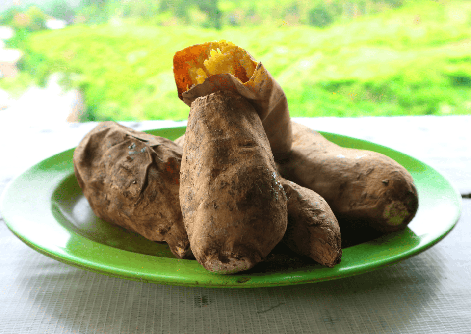 Madagascar Fruits And Vegetables And Exotic Fruits To Try