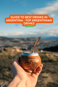 Guide to Best Drinks in Argentina - Top Argentinian Drinks