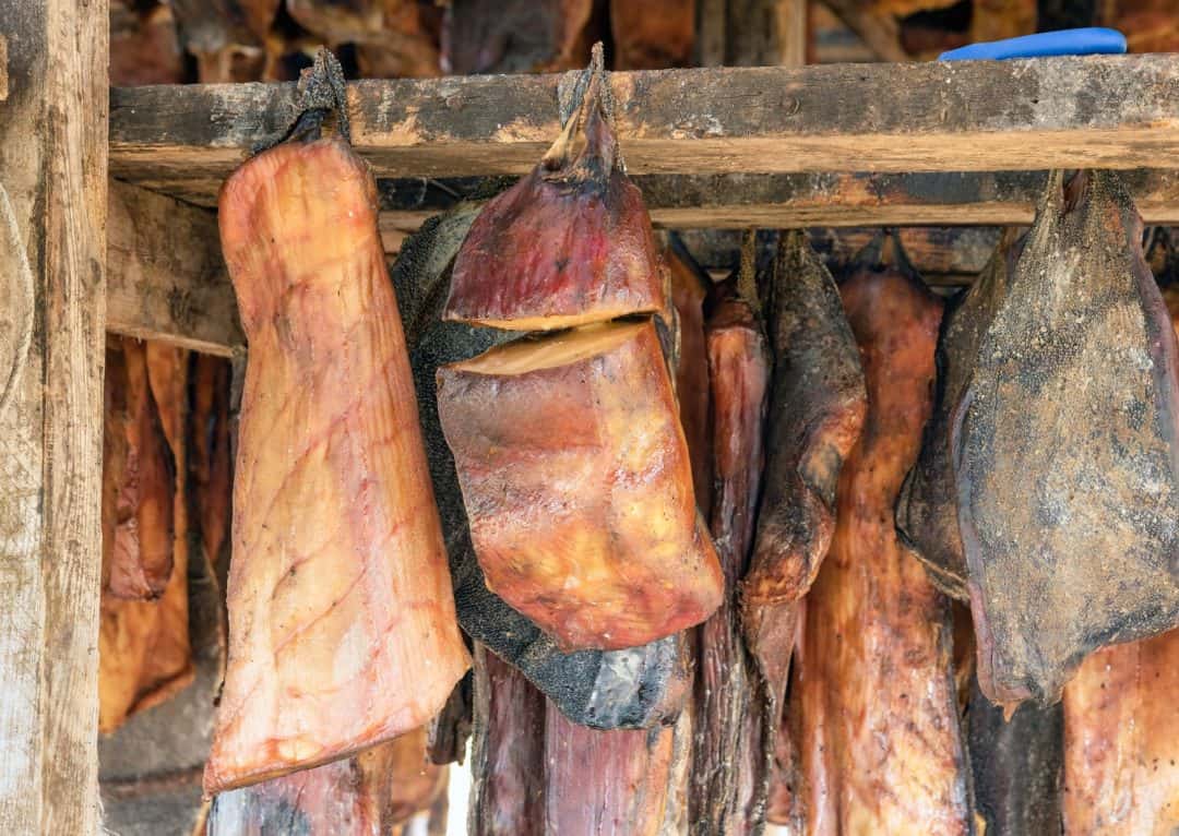 10 Weirdest Foods People Actually Eat Around The World (Would You Dare?)