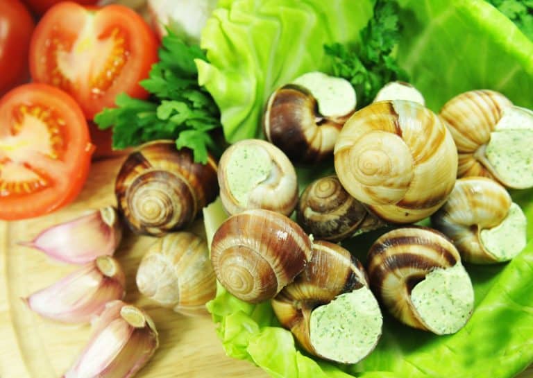 Why Escargots Are The Most Elegant Appetizer You’re Afraid To Try (And ...