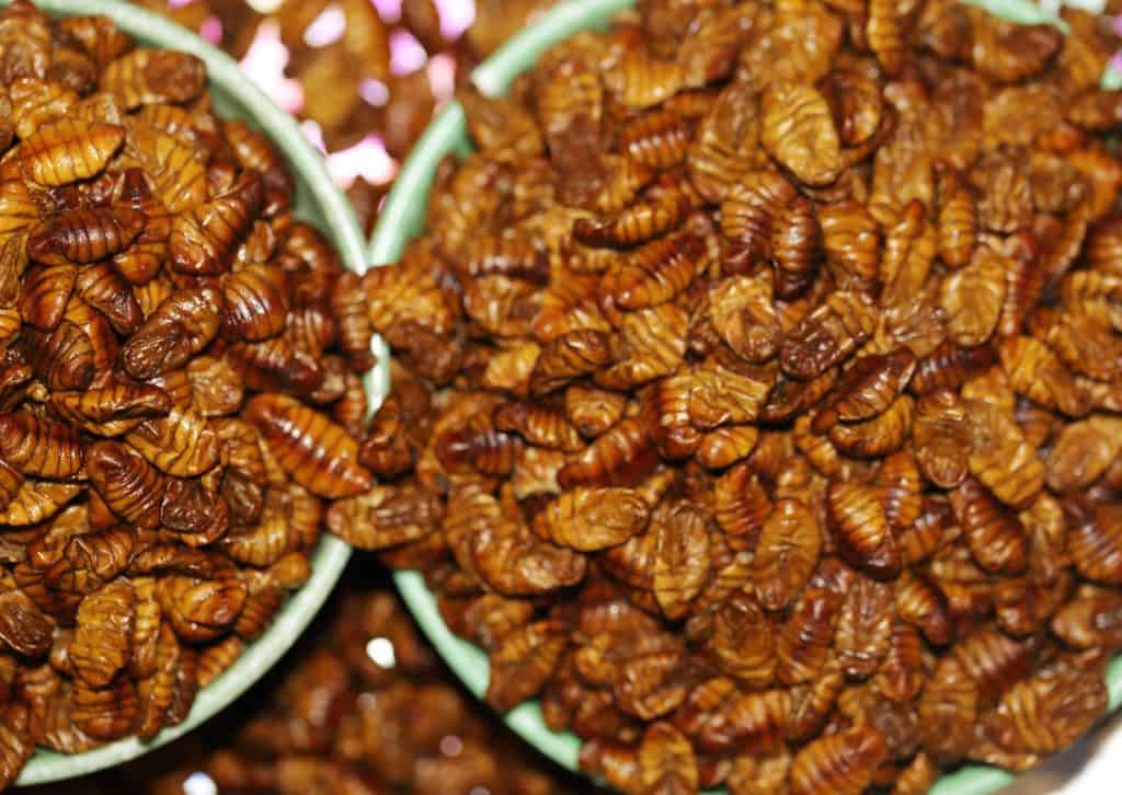 11 Weird And Unique Foods To Try In Asia