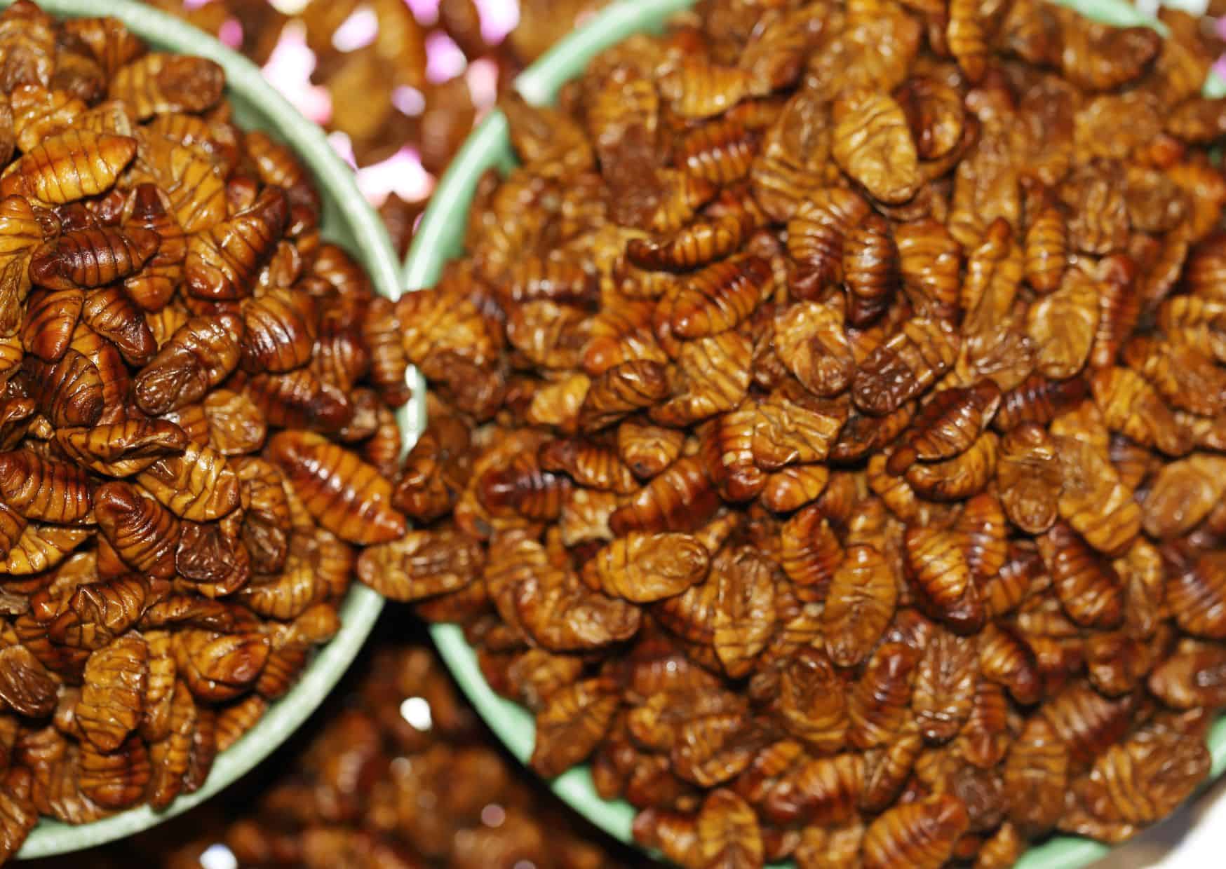 11 Weird And Unique Foods To Try In Asia