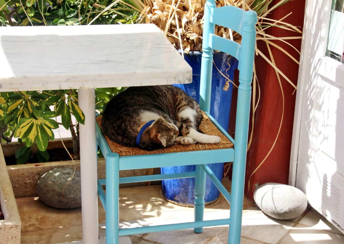 Why Tourists Get Spain’s Siesta Completely Wrong (8 Daily Life Truths)