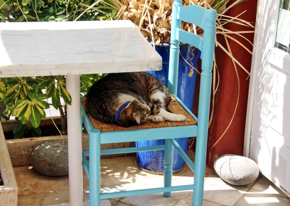 Why Tourists Get Spain’s Siesta Completely Wrong (8 Daily Life Truths)