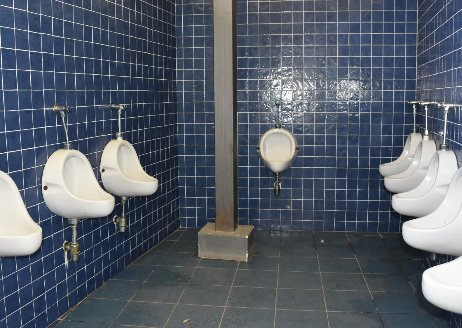 Why Italian Men Pee Together While American Men Need Privacy Stalls